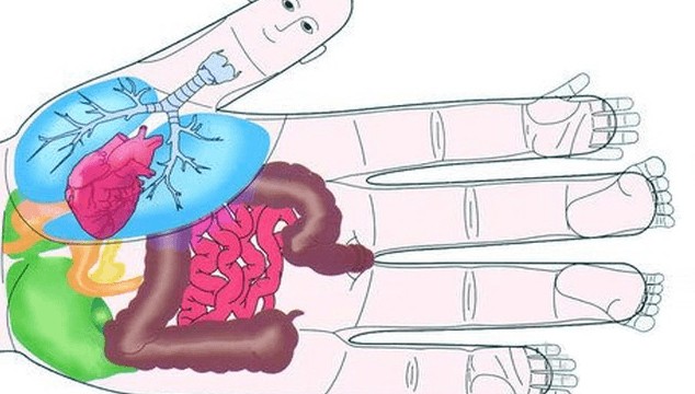 Congreso Brasilero Ebramec 2021 – Conferencia sobre Reflexología Su Jok ...